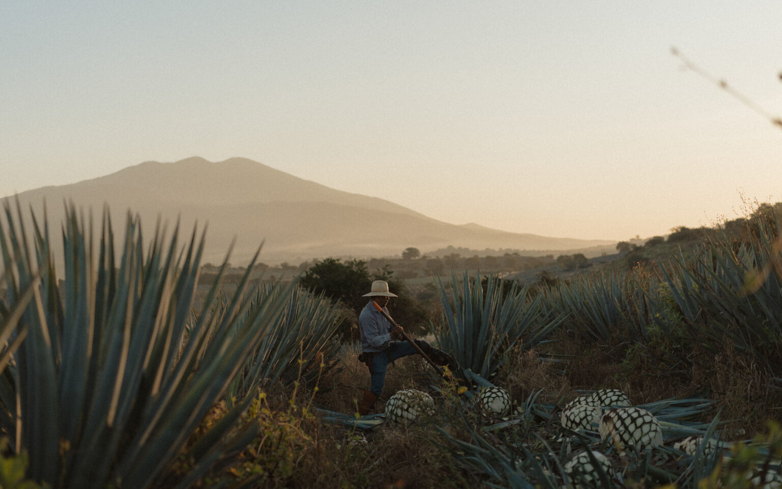 Legend - Point Blank Tequila